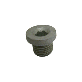 Haldex Drain Plug (M10x1mm)